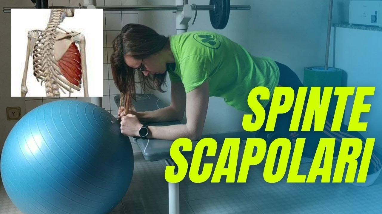 Scapular push-up_SPINTE SCAPOLARI per il muscolo gran dentato. - YouTube
