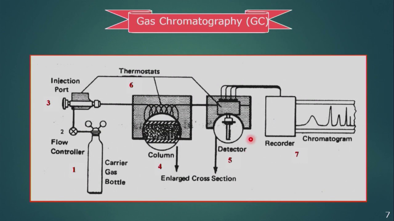 GC Part 1 Clip 1 - YouTube