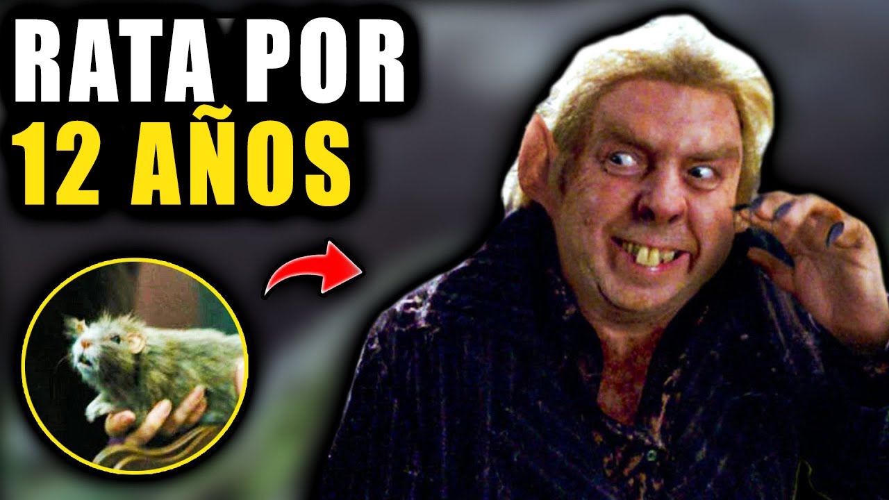 ¿Cómo Se Mantuvo COLAGUSANO Como RATA Tanto Tiempo? - Teoría de Harry ...