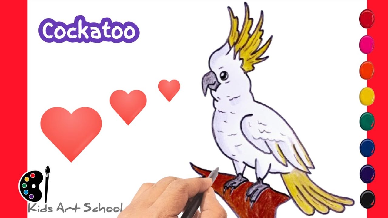 Cockatoo Drawing| How to Draw Cockatoo||Draw a bird | Drawing for Kids ...