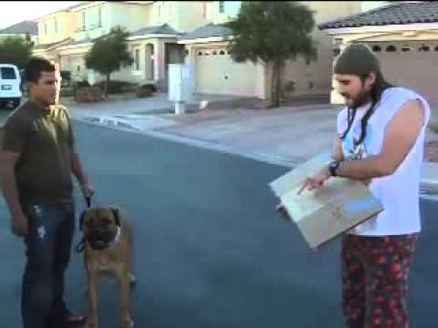 Reggie Warren Jr. has run in with UFC fighter on the streets! - YouTube