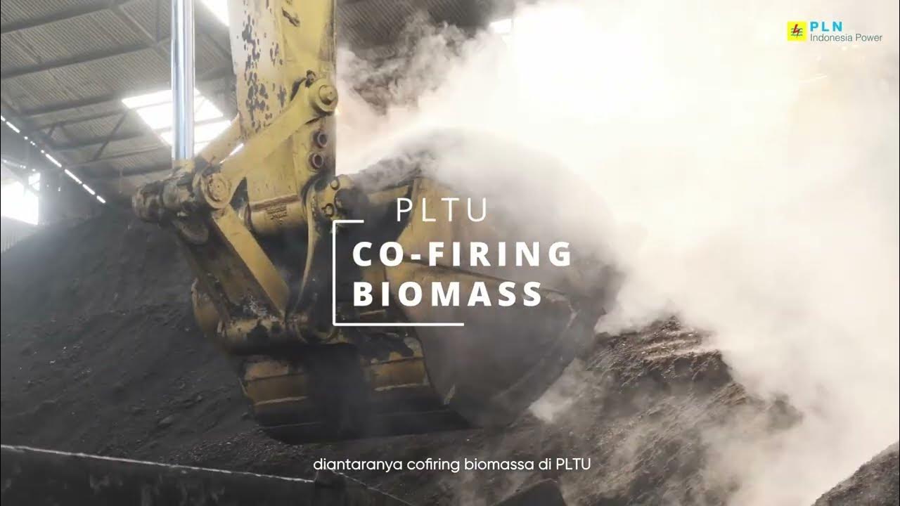 PLN Indonesia Power Manfaatkan Limbah Cangkang Sawit Jadi 100% Bahan Bakar PLTU - YouTube