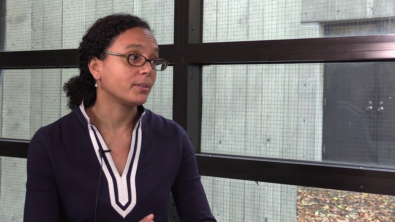 Dr. Helena Hansen on opioid use, addiction and race. - YouTube