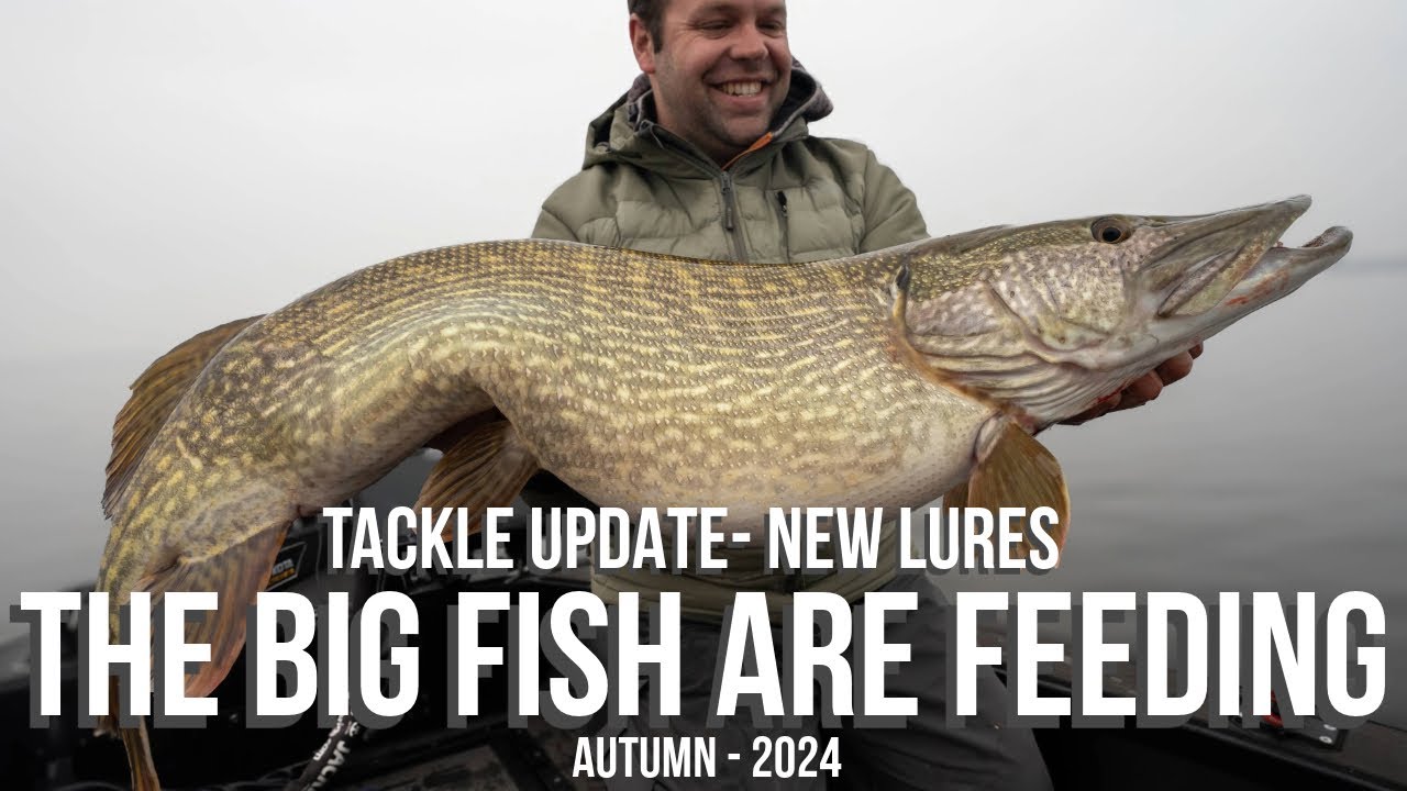 The Big Fish Are Feeding - Tackle Update - Autumn 2024 - YouTube