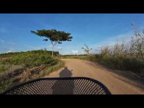 Onko Farang lottovoittaja