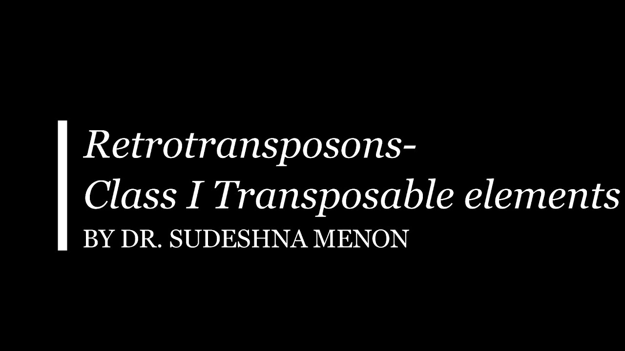 Retrotransposons Class I Transposable Elements - YouTube