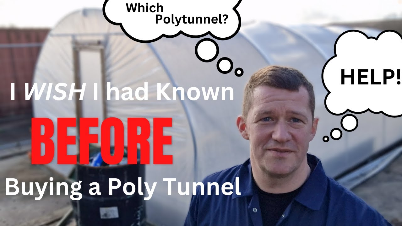 My Thoughts on My First Tunnels Polytunnel After 1 Year - YouTube