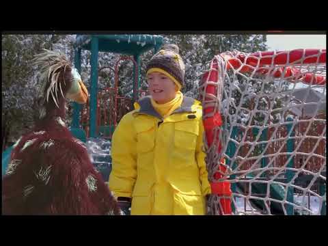 Dino Dan dromaeosaurus screen time