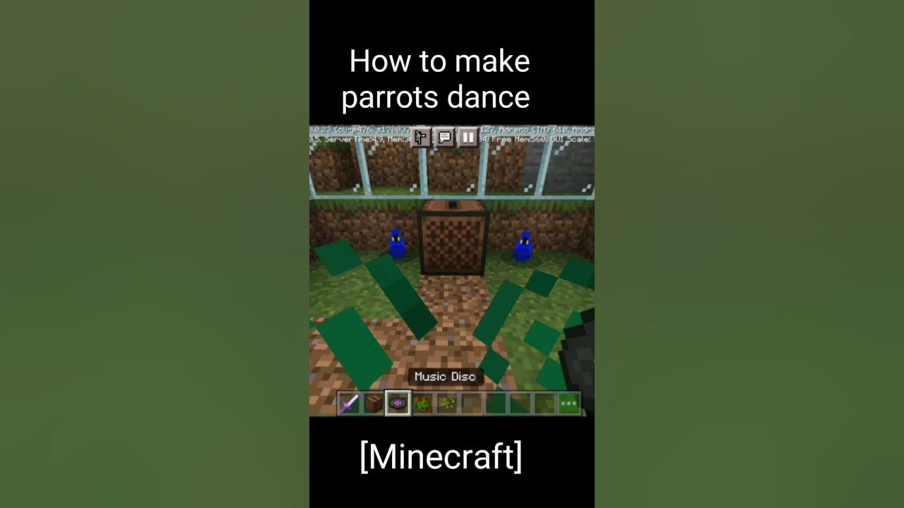 How To Make Parrots Dance In Minecraft shorts YouTube how-to-make-parrots-dance-in-minecraft-shorts-youtube