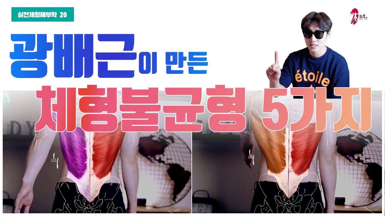 Latissimus dorsi and 5 body type imbalances (GDY body1st 20) - YouTube