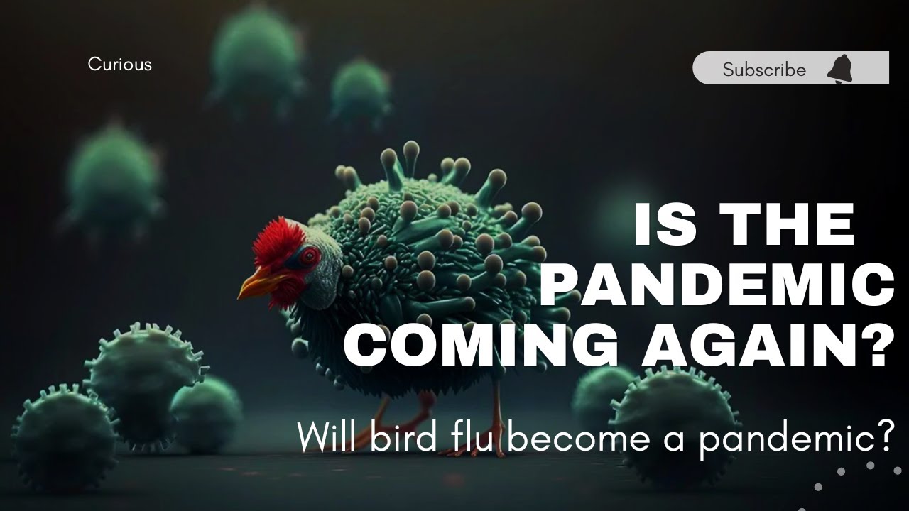Bird Flu Pandemic: The Silent Threat to Global Health | Explained ...
