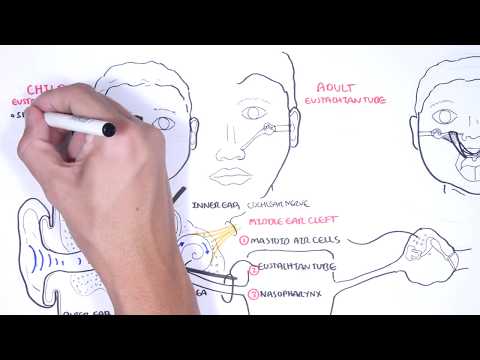 What Is The Difference Between Aom And Ome Otitis Media