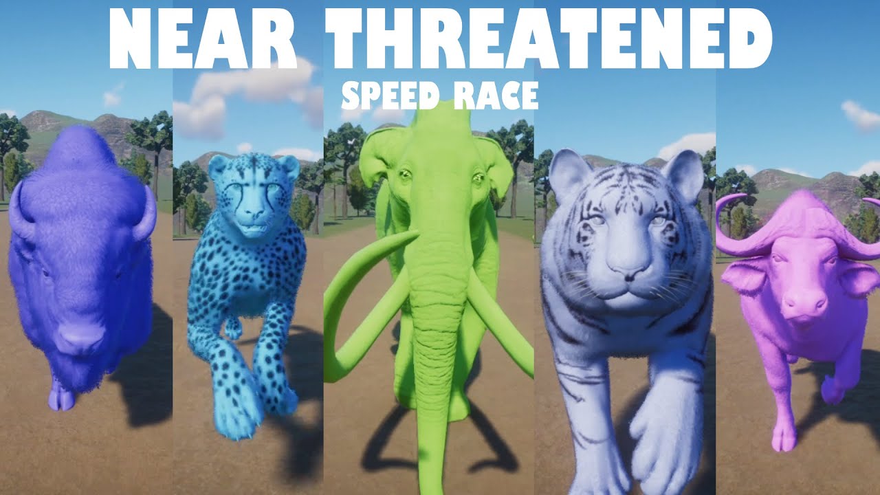 Near Threatened Animals Speed Races in Planet Zoo | Mammoth, Tiger ...