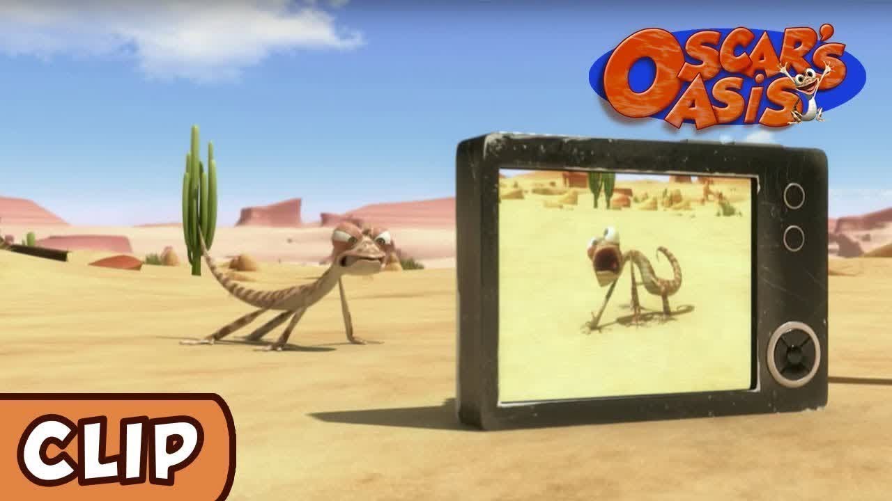 Oscar Oasis Cartoon 2019 - Oscar's Oasis - Picture Perfect | HQ | Funny ...