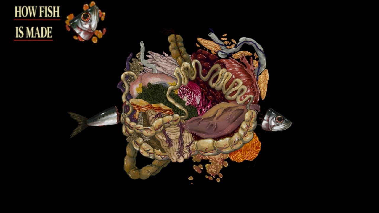 How Fish Is Made (Full Game) - YouTube