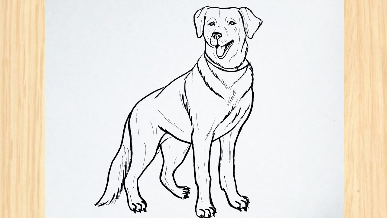 How to draw a dog easy step by step || Dog drawing - YouTube