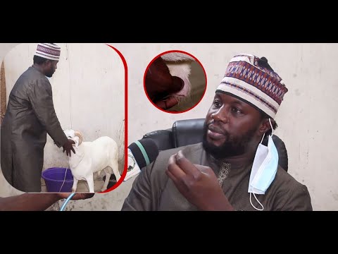 Thieuy Kou Khamone secret bi nek ci kharou Tabaski...Goor bou teulé; dieuleul lii di...Regardez