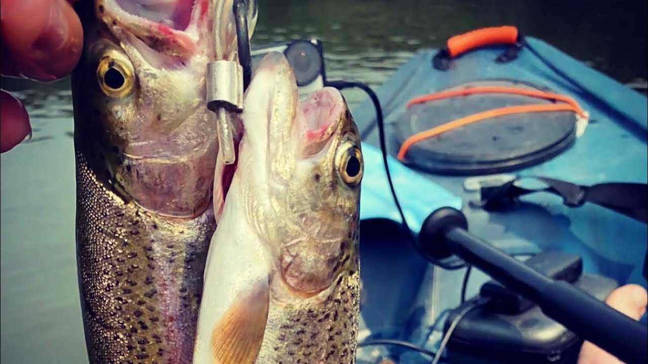 KAYAK FISHING THE UPPER IOWA RIVER!!! Walleye and Trout in the Same ...