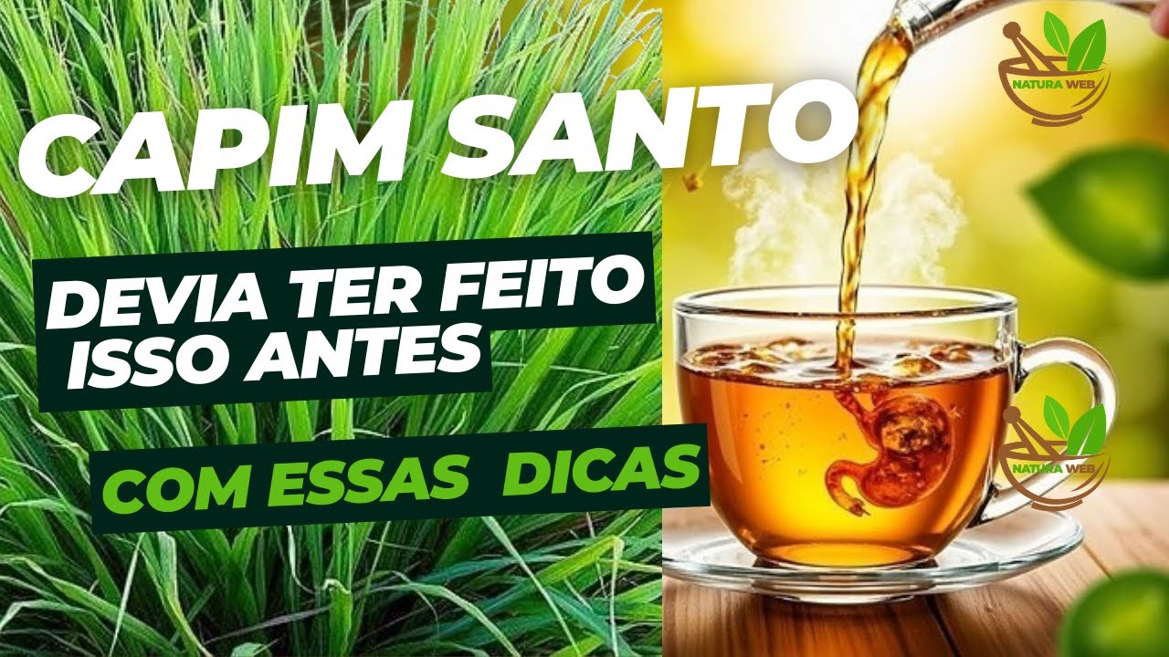 CHÁ DE CAPIM SANTO: Reduza Cólicas, Ansiedade e Inchaço | Guia Completo ...