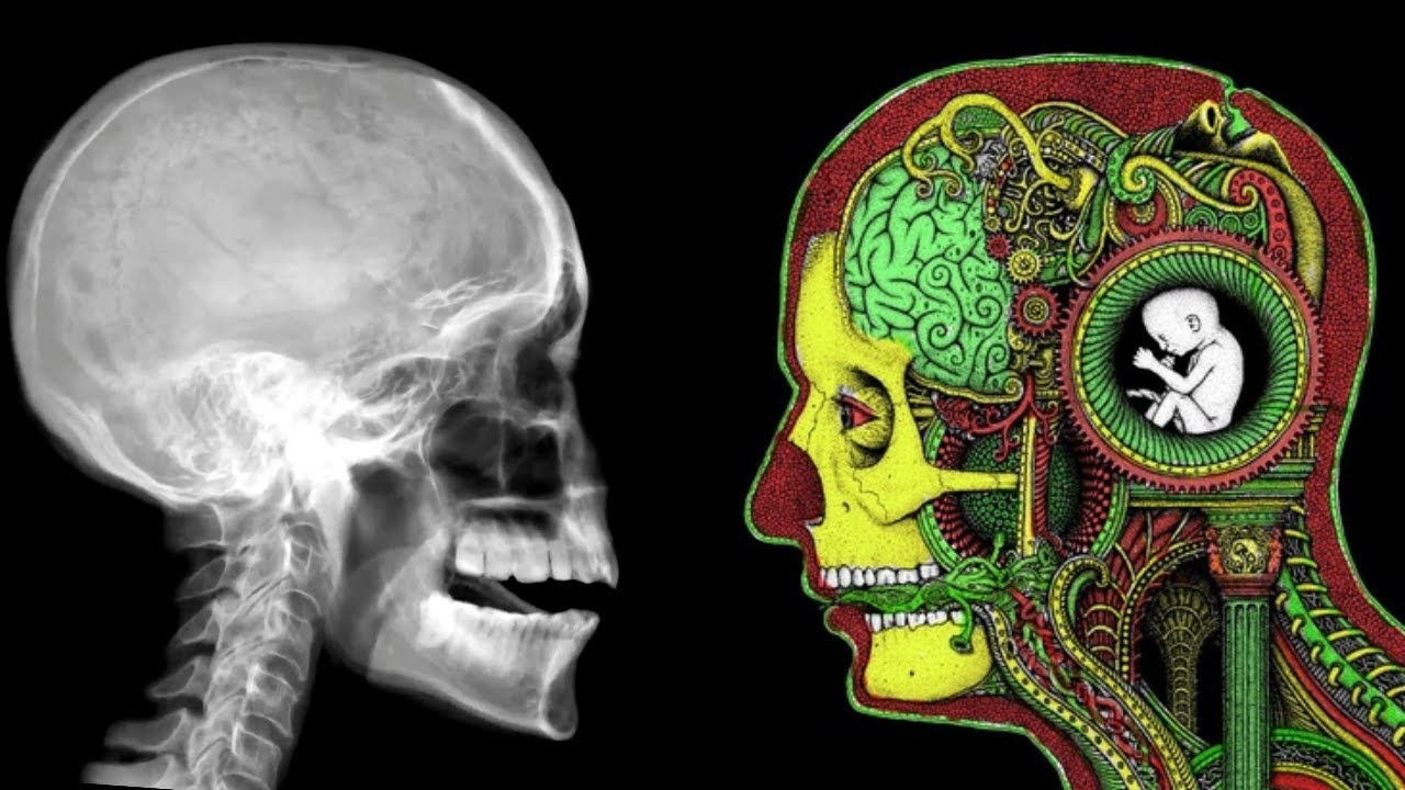 Diferencia entre PROFUNDIZAR y SER PROFUNDO - YouTube