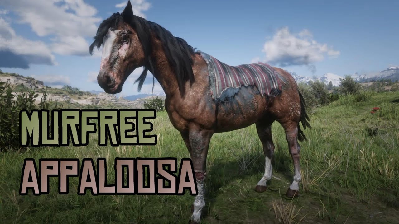 The Rat Man acquires a Murfree Brood Appaloosa : Red Dead Redemption 2 ...