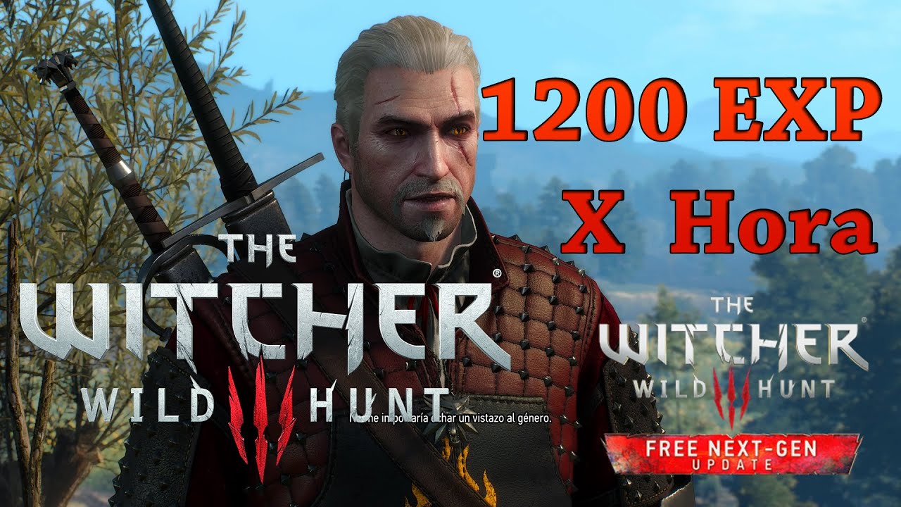 Como Subir De Nivel En The Witcher 3 Next Gen y Wild Hunt* 1200 EXP Por ...
