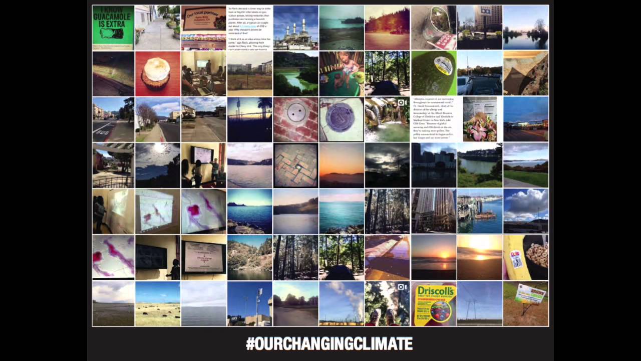 Seeing the Small Picture, Sheryl-Ann Simpson, Bret Snyder, N. Claire ...