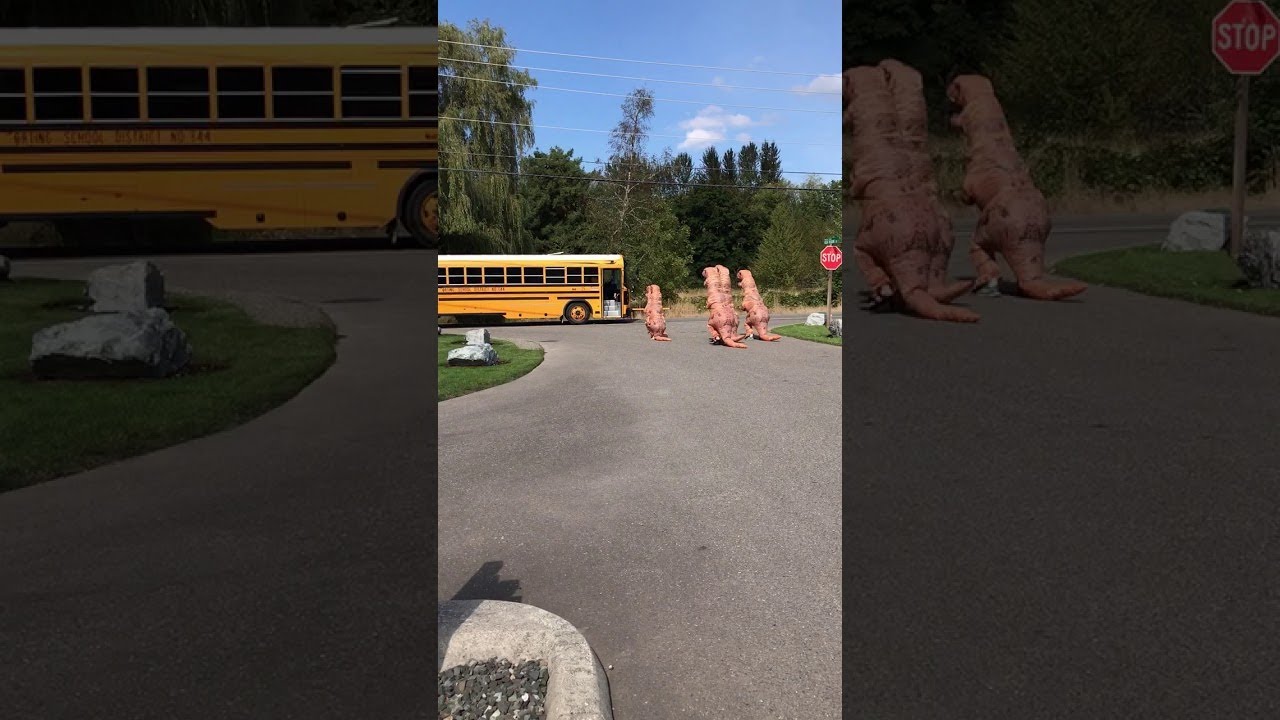 T-Rex Family Waits for School Bus || ViralHog - YouTube