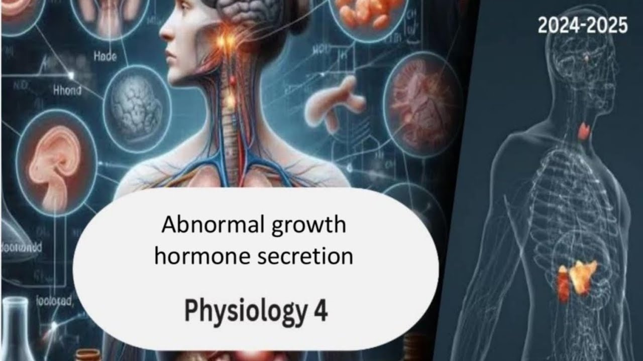 Abnormal growth hormone secretion, Physiology 4, Sec 2 - YouTube