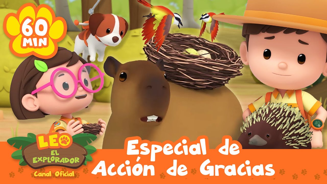 ¡Vacaciones con tus seres queridos! 🐻 | ¡ESPECIAL DE ACCIÓN DE GRACIAS ...
