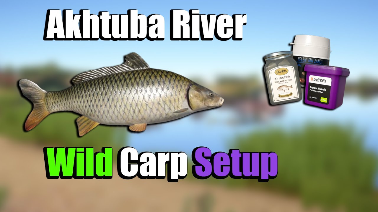 🎣Russian Fishing 4 RF4 - Akhtuba River Wild Carp Setup#236 - YouTube