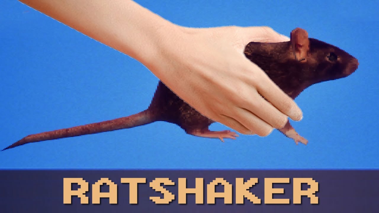 ratshaker.mp4 - YouTube