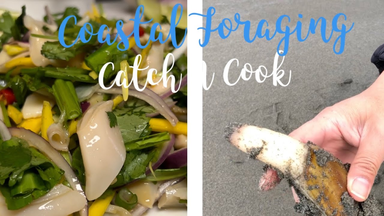 New to Razor Clam Cooking? Must Try Recipe - YouTube