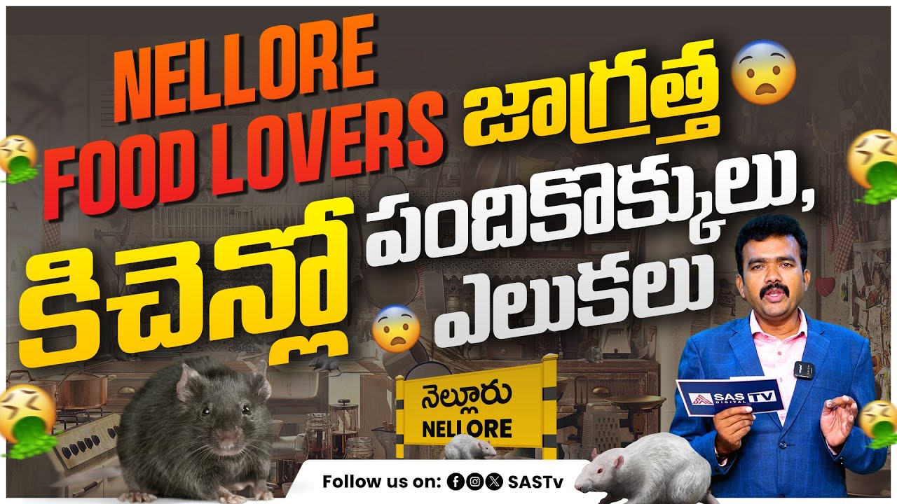 Nellore Food Lovers! జాగ్రత్త కిచెన్లో పందికొక్కులు, ఎలుకలు | Nellore Hotel Foods #SASTv - YouTube