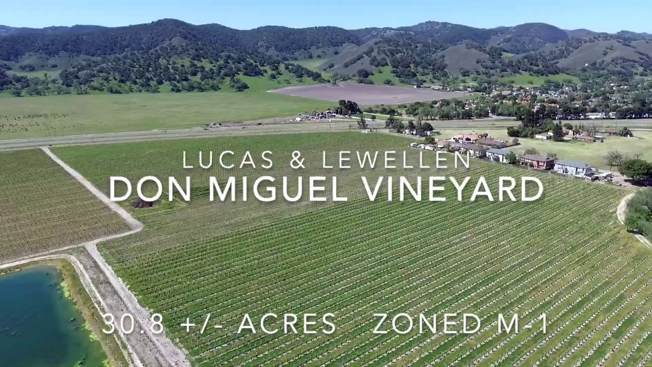 Lucas & Lewellen Don Miguel Vineyard, Los Alamos - YouTube