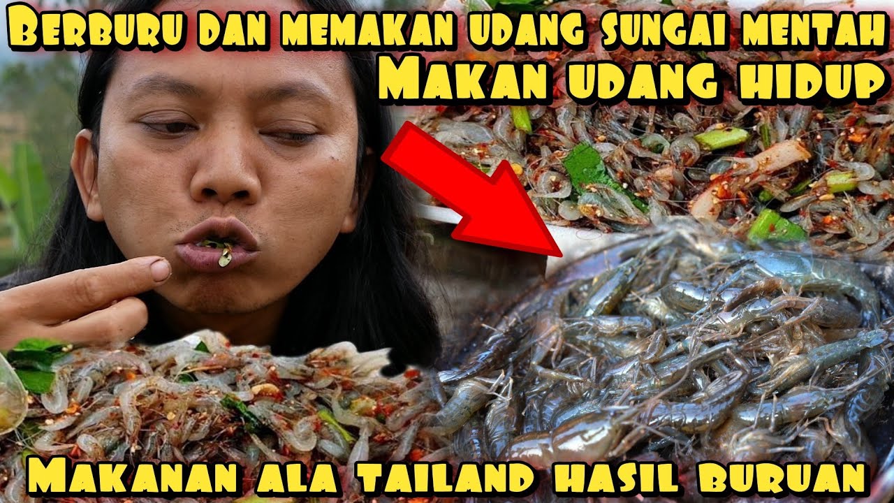 MAKAN UDANG HIDUP ALA TAILAND HASIL BURUAN - YouTube