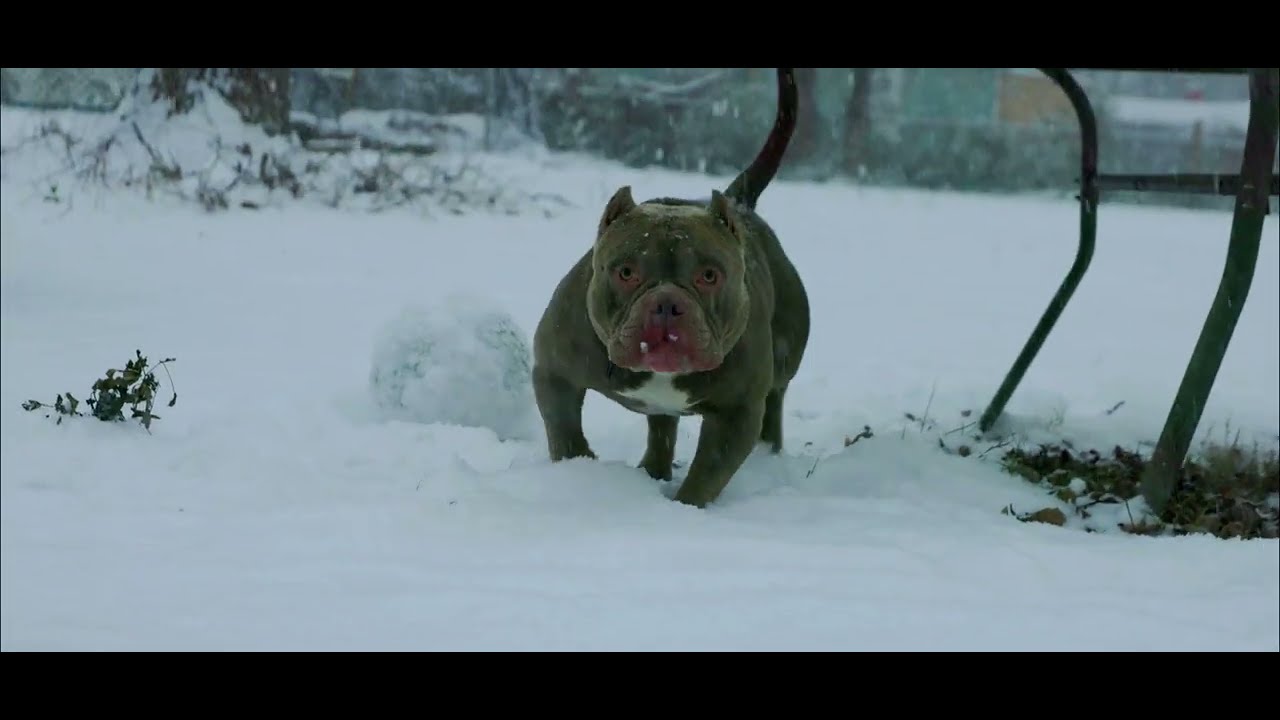 First Lithonia GA Snow - YouTube