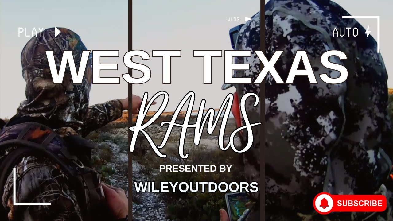 🐏 West Texas Rams: The Search 🌵 | Aoudad & Mouflon Ram Hunting ...