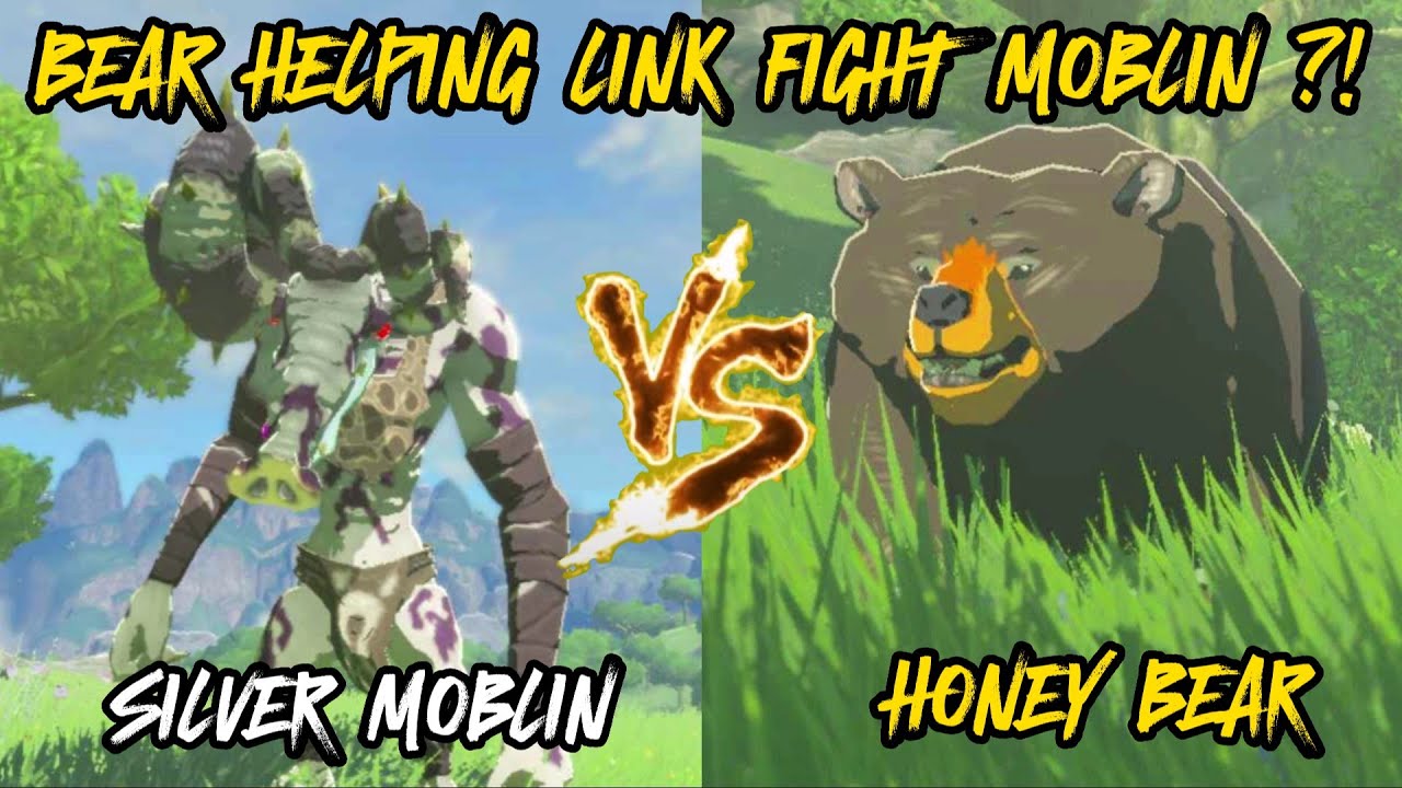 MOBLIN VS BEAR - BEAR HELPING IN THE BATTLE !?!? (The Legend of Zelda ...