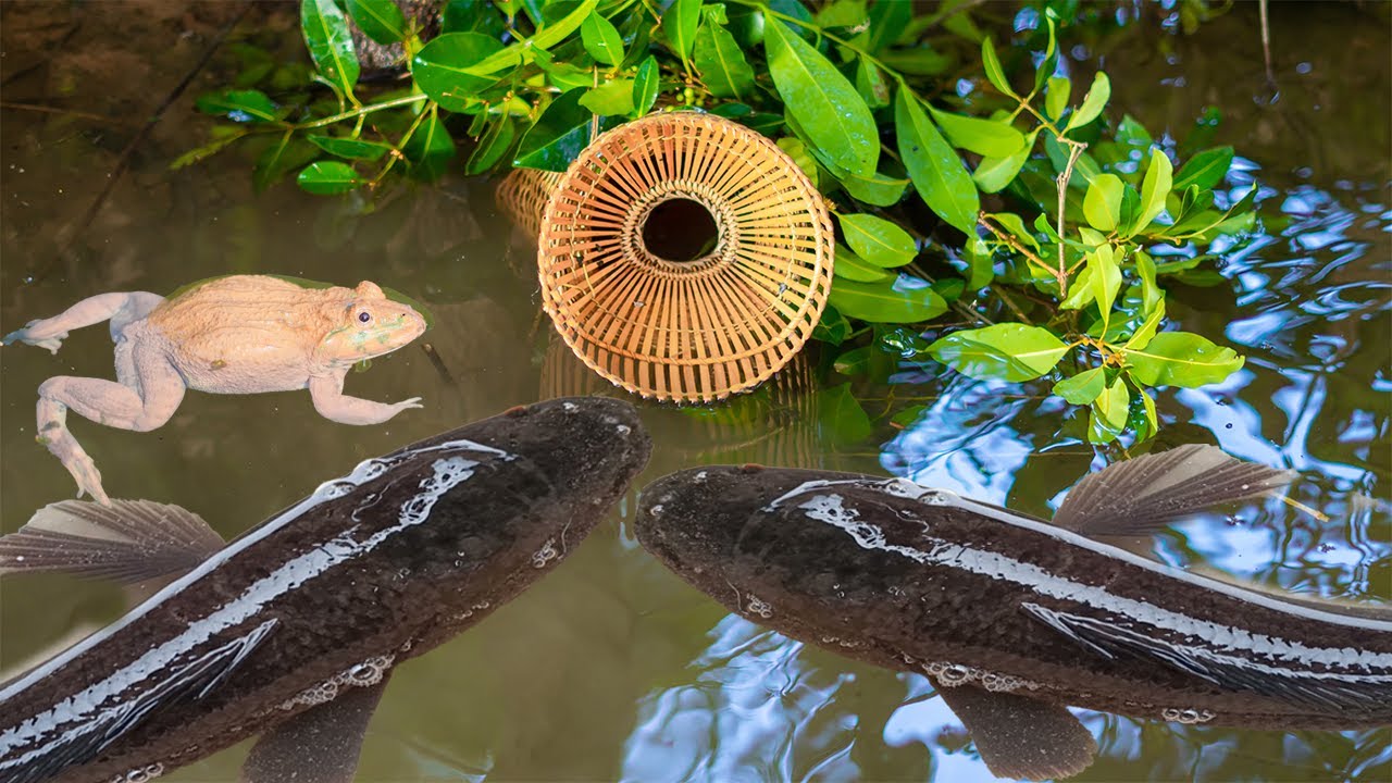 The best unique skill catch the fish when the water up | San Chantha ...