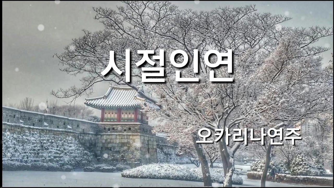 시절인연 이찬원 안성훈 미스터트롯2 가사 오카리나연주 Youtube