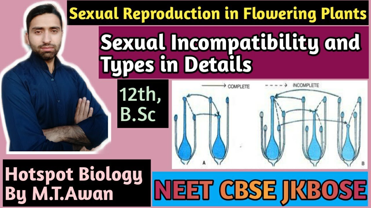 Lecture 21 Class 12 Biology Ch.2- Sexual Incompatibility/Self Sterility ...