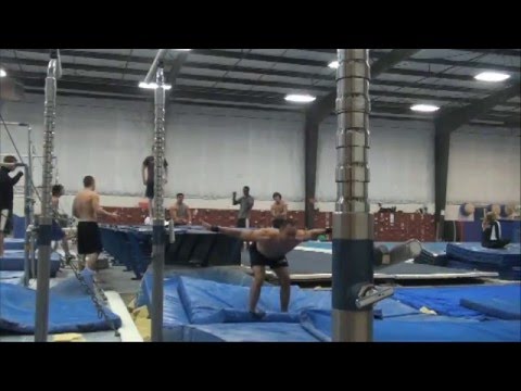 2010 UW Mens Gymnastics