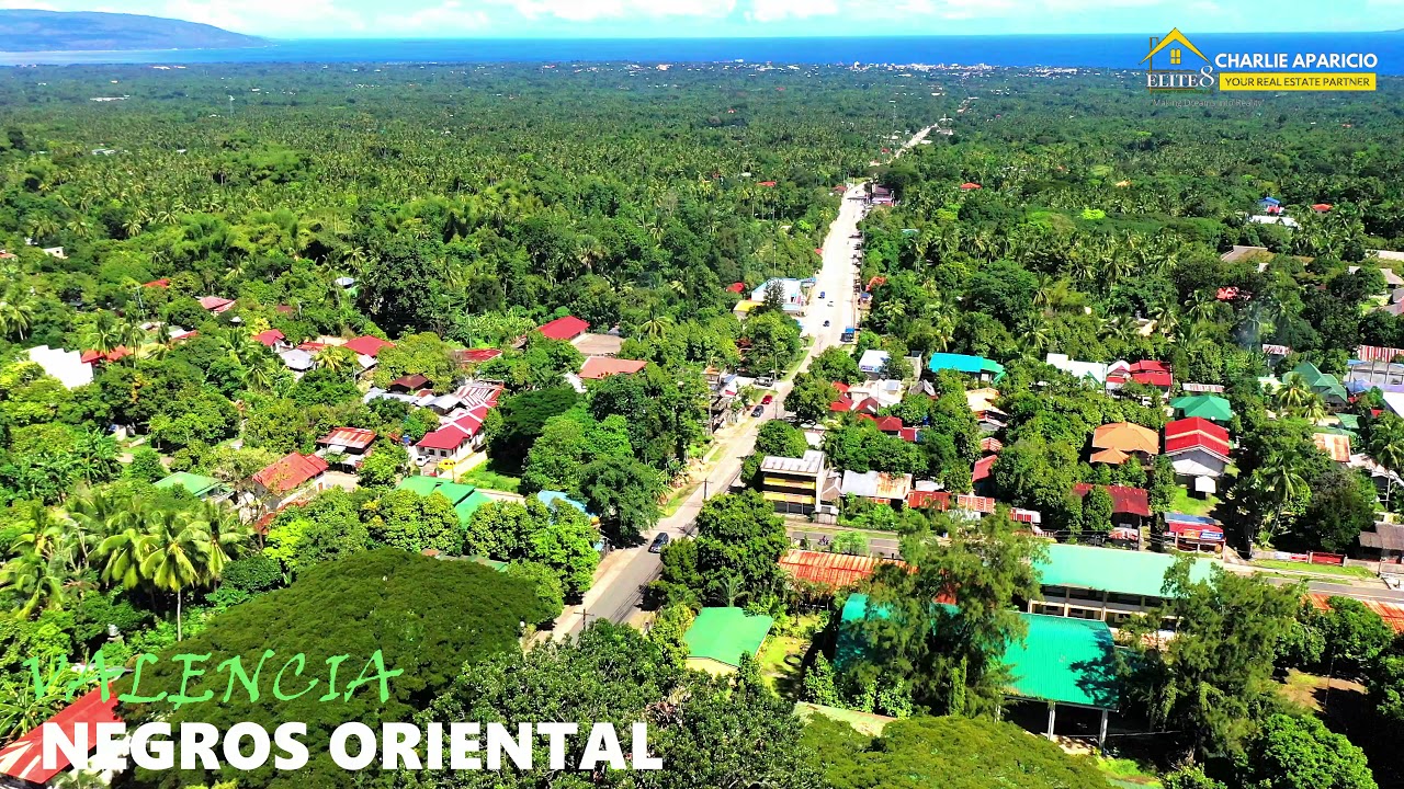 𝐂𝐇𝐀𝐃𝐀 𝐕𝐀𝐋𝐄𝐍𝐂𝐈𝐀 -𝐍𝐄𝐆𝐑𝐎𝐒 𝐎𝐑𝐈𝐄𝐍𝐓𝐀𝐋 -𝐀𝐄𝐑𝐈𝐀𝐋 𝐕𝐈𝐄𝐖 𝟒𝐊 - YouTube