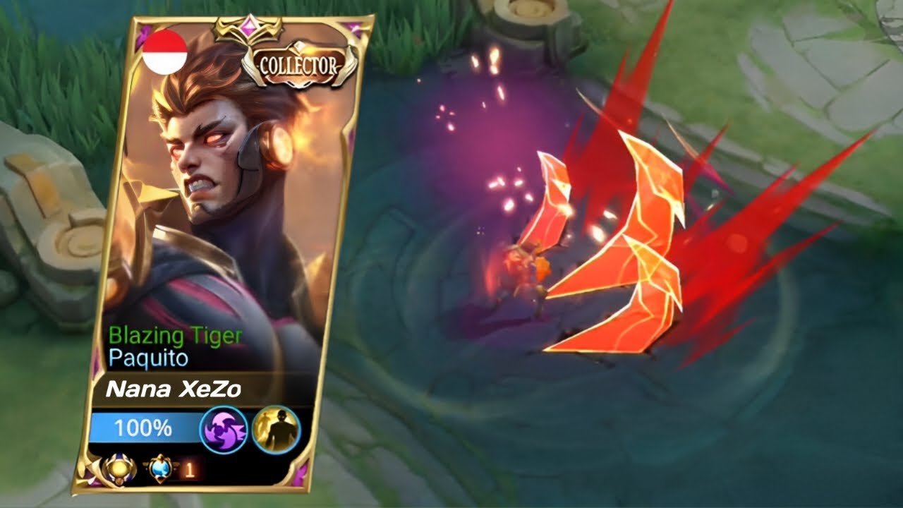 PAQUITO NEW COLLECTOR SKIN BLAZING TIGER. - YouTube