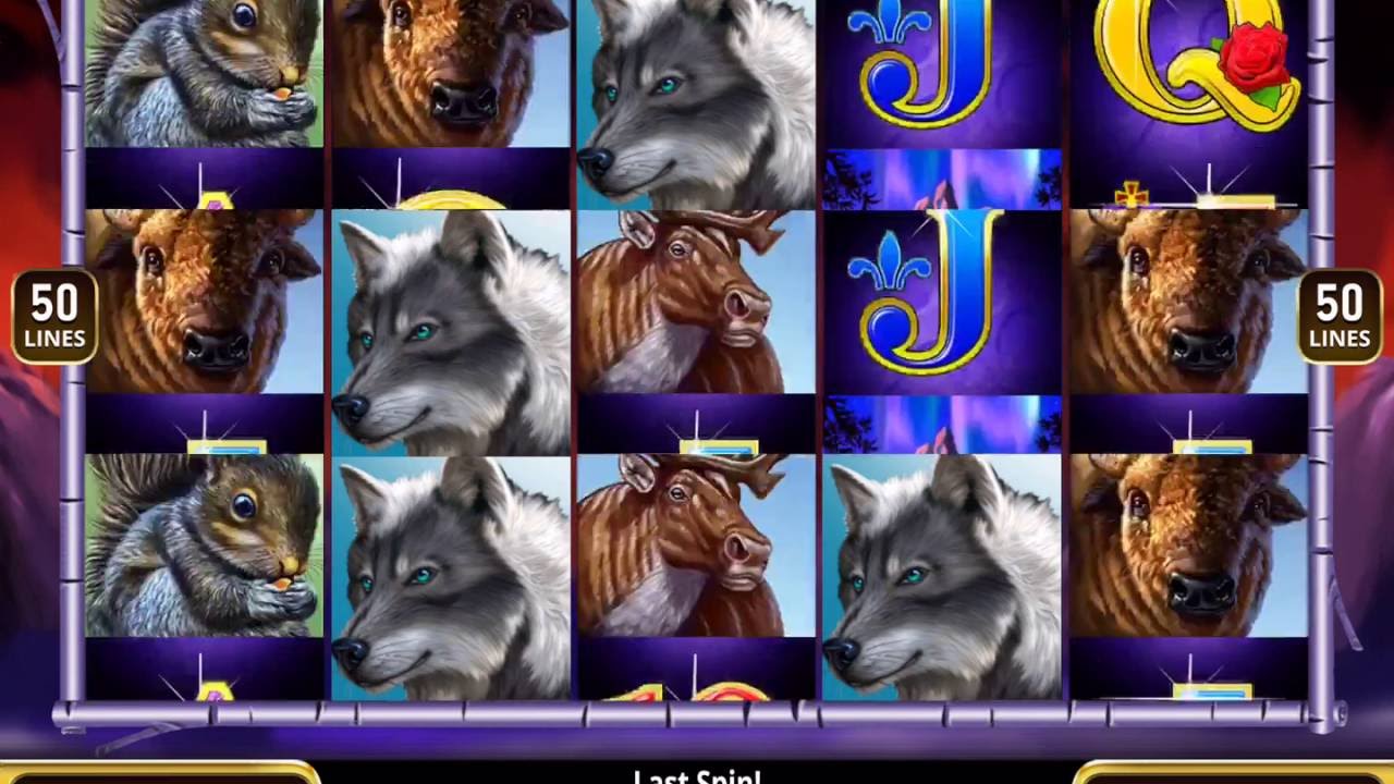 WINNING WOLF video Slot Game with a FREE SPIN BONUS - YouTube