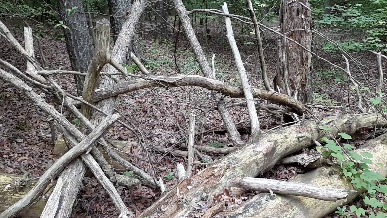 Wade the squatchmann....squatch stick layed out - YouTube