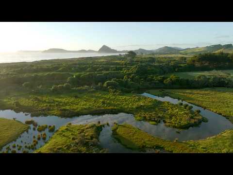 Open Planet Studios x Tahi | Restoring The Balance