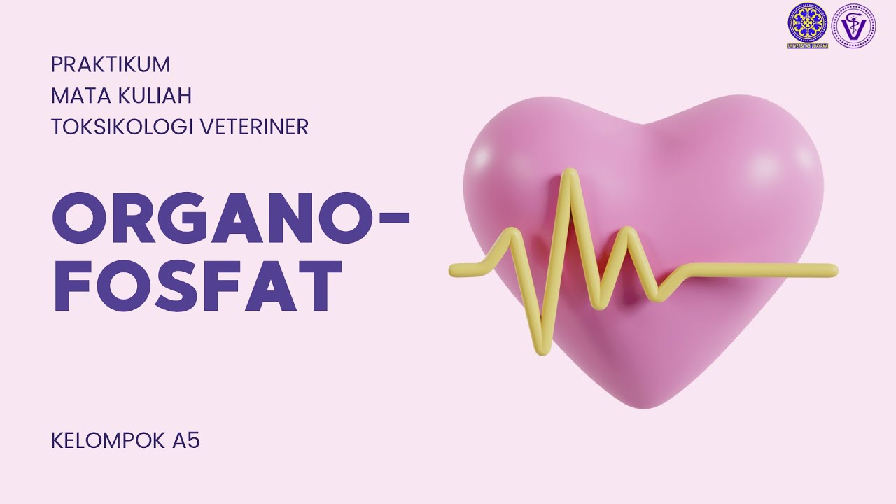 Praktikum Toksikologi Veteriner: Keracunan Insektisida "Organofosfat ...