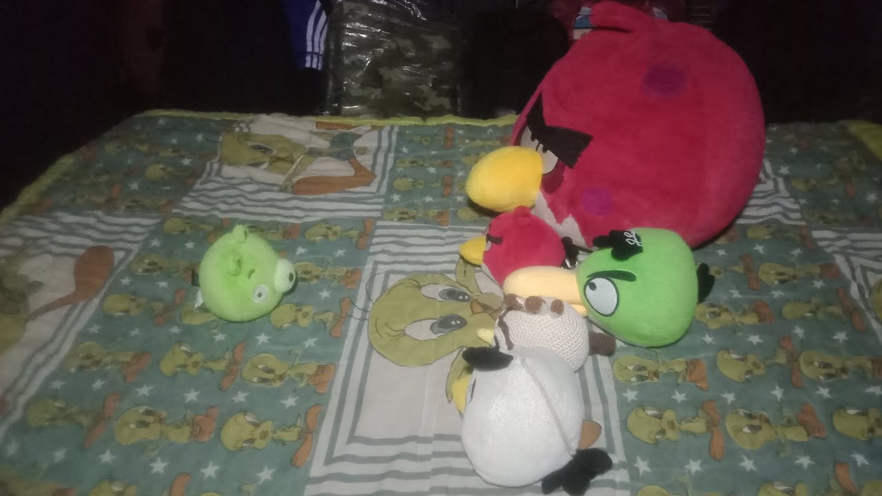 Angry Birds Plush: Ross was Interviewing Matilda, Melody, Hal, and ...